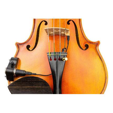 Electric Violin Shop | World-Leader In Amplified Strings